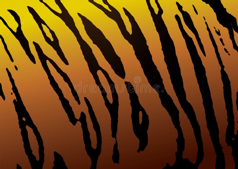 Tiger skin stock vector. Illustration of wildlife, print - 9731384