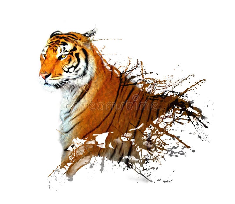 Tiger splash stock illustration. Illustration of lion - 32479324