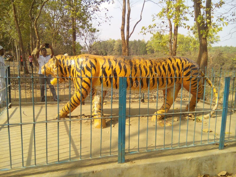 The Tiger Statue, Royel Bengol Tiger Editorial Photo - Image of tiger ...