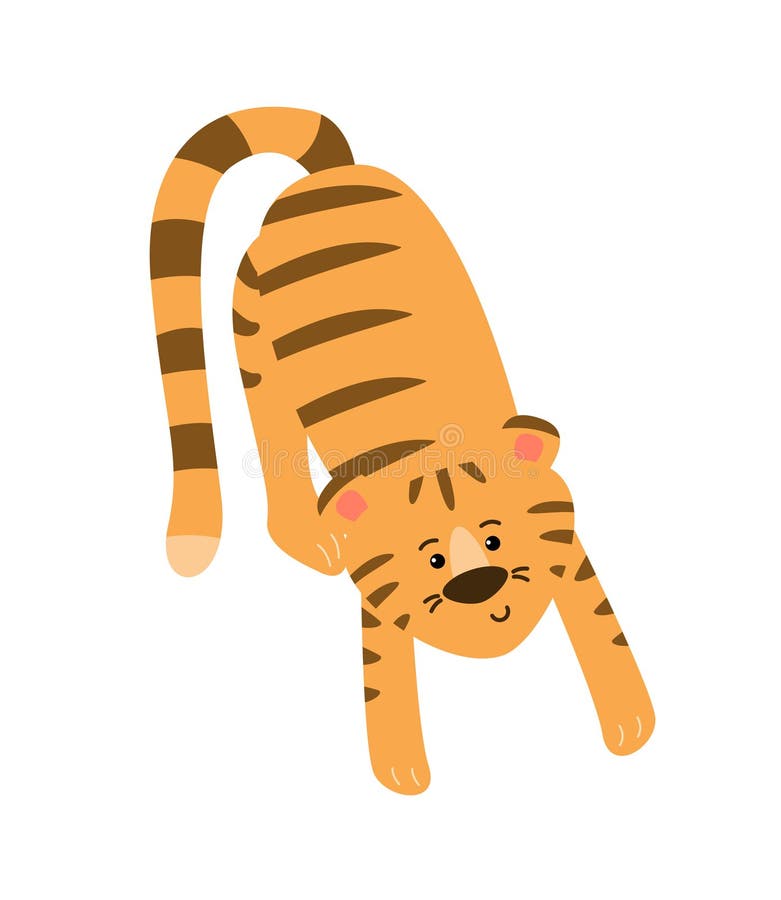 Tiger stretching stock image. Image of asian, prowl, rocks - 973959