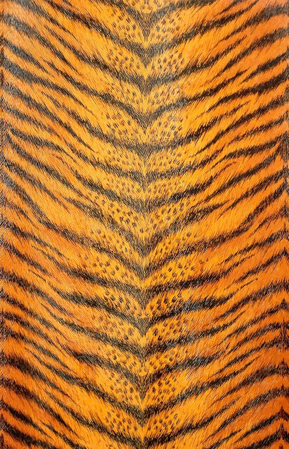 Tiger striped pattern stock image. Image of print, material - 16034729