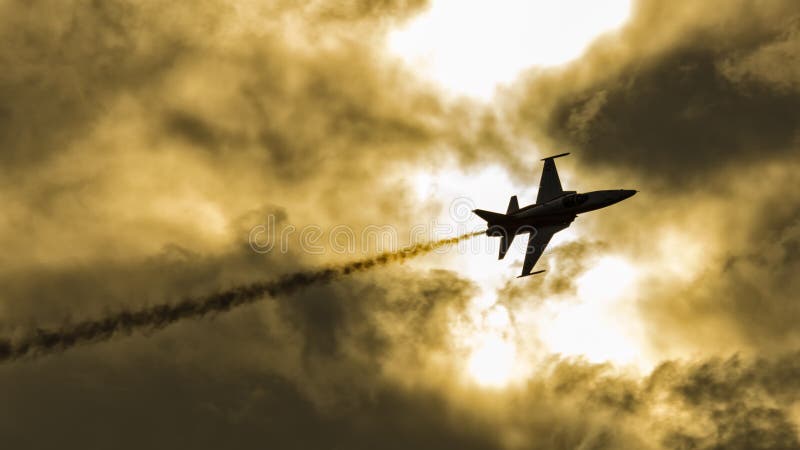 Tiger at Sunset editorial photography. Image of tiger - 59720542