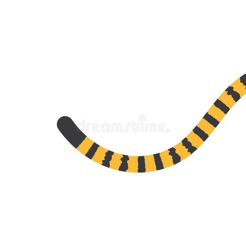 Tiger Tail Icon Color Design Stock Vector - Illustration of icon ...