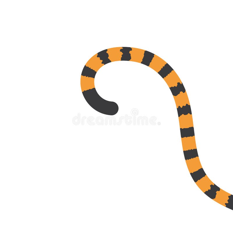 Tiger Tail Icon Color Design Stock Vector - Illustration of icon ...