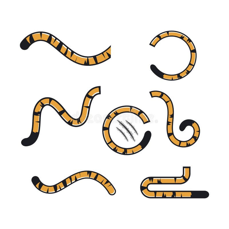 Tiger Tail Icon Vector Illustration Design Stock Vector - Illustration ...