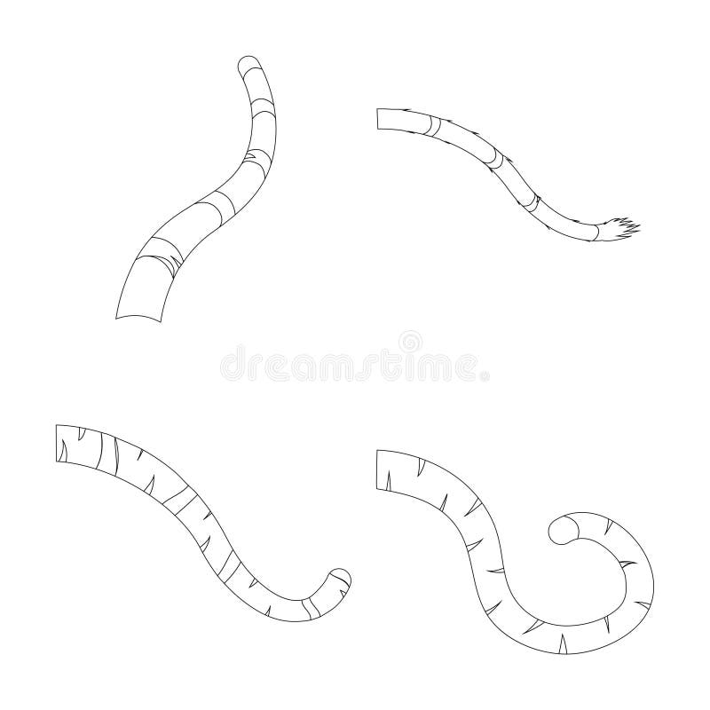 Tiger tail icon vector stock illustration. Illustration of animal ...