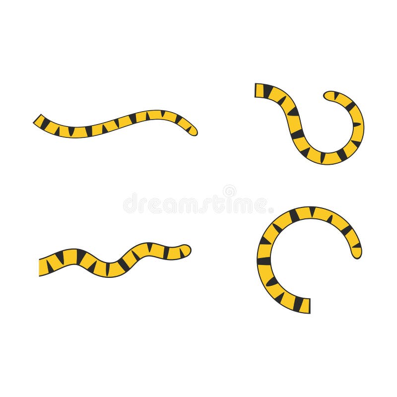 Tiger tail icon vector stock vector. Illustration of graphic - 266539038