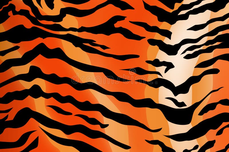 Tiger texture stock vector. Illustration of texture, luxury - 14928580