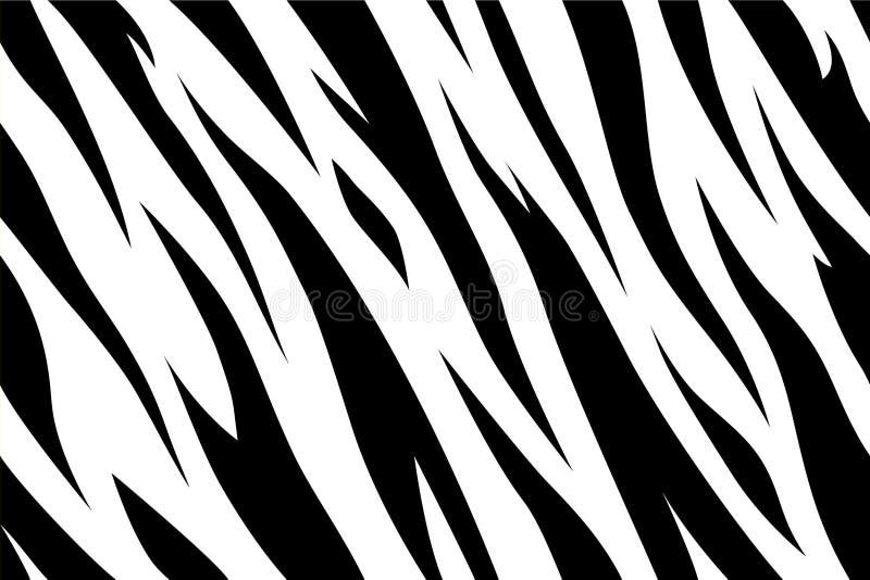 Tiger Texture Abstract Background Black and White. Vector Jungle Strip ...