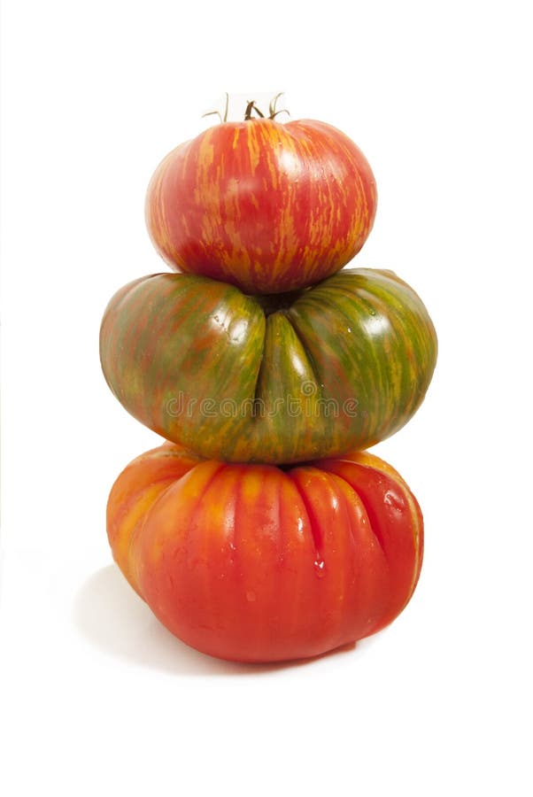 Tiger tomatoes stock image. Image of tomato, tomatoes - 79878463
