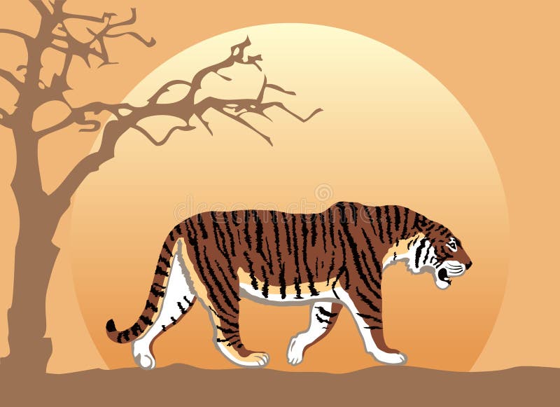 Running Tiger, Realistic Drawing Stock Illustration - Illustration of ...