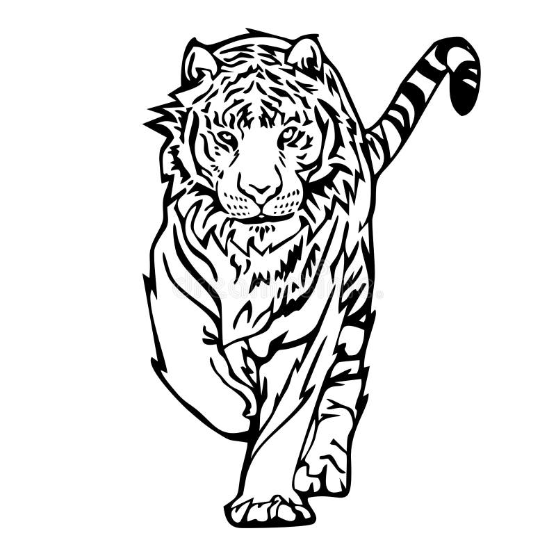 Tiger Walk Silhouette Drawing Tattoo Stock Illustration - Illustration ...