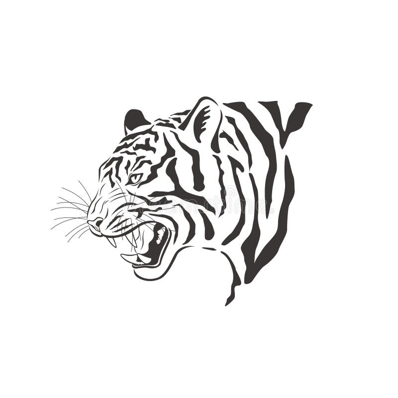 Tiger on White Background. Vector . Stock Illustration - Illustration ...