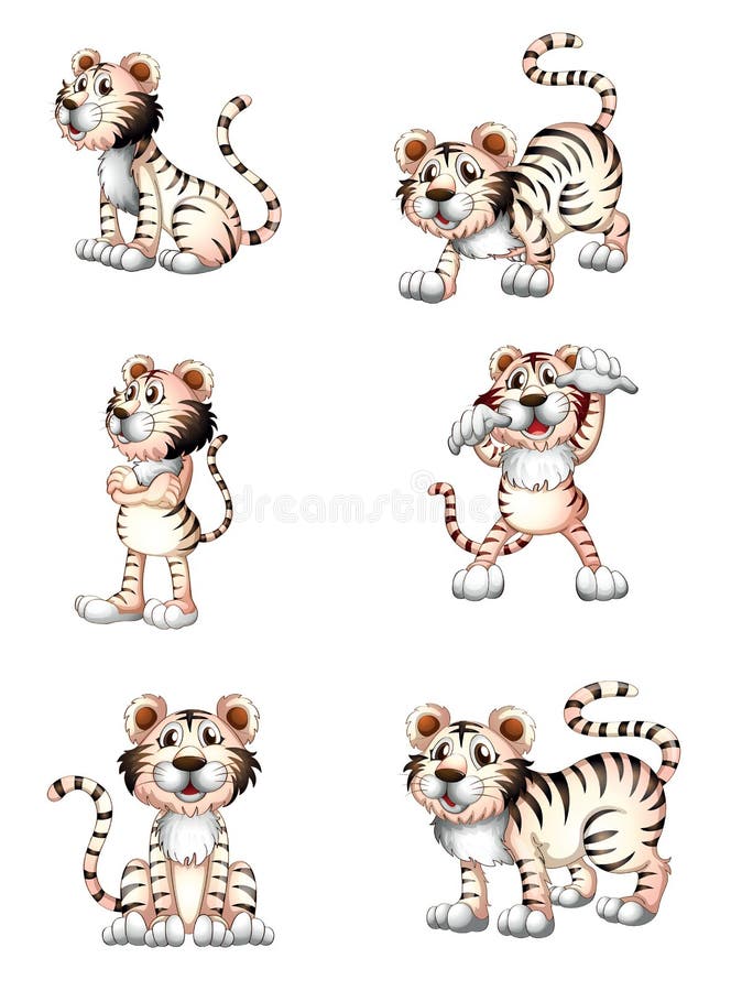 Tigers in Six Different Positions Stock Vector - Illustration of head ...