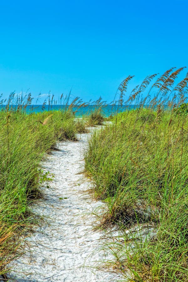 Tigertail Beach at Marco Island Stock Photo - Image of outside, florida ...