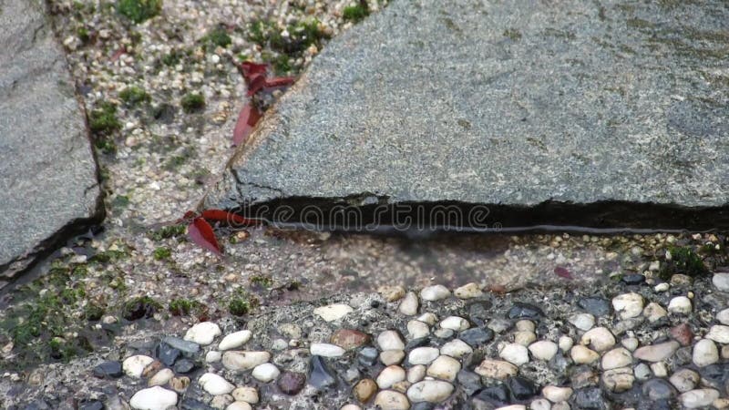 Tight Shot of Rain Falling on Stone Pathway with Splashing in Puddle ...