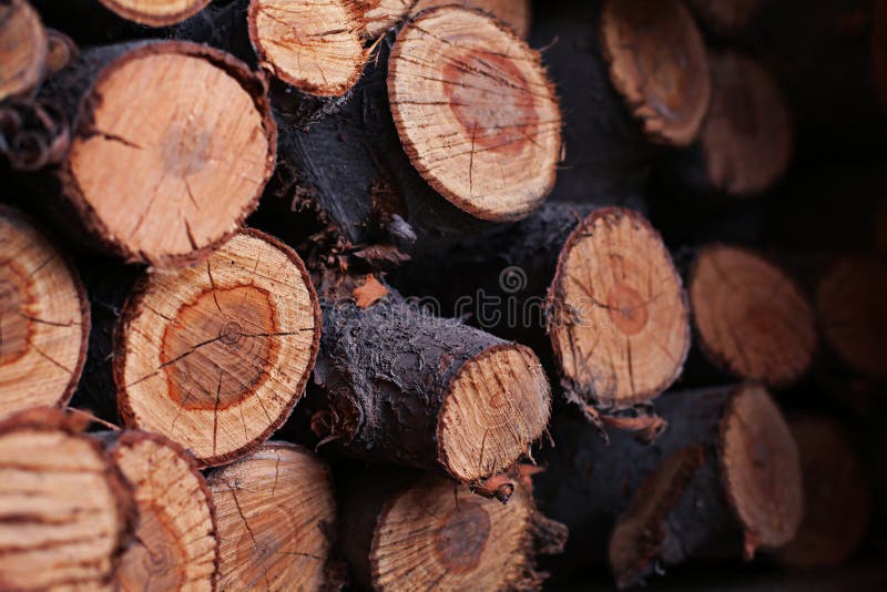 A Tight Stack of Old Wooden Logs at N Angle Stock Image - Image of ripe ...