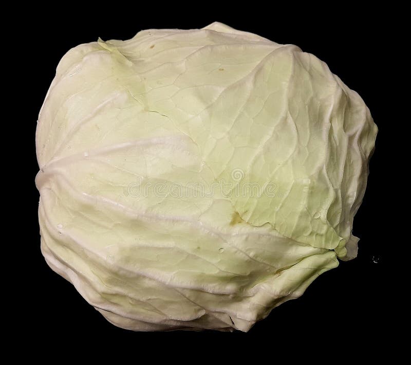 The Tightly Packed Leaves of a Head of Cabbage are Visible. Stock Image ...