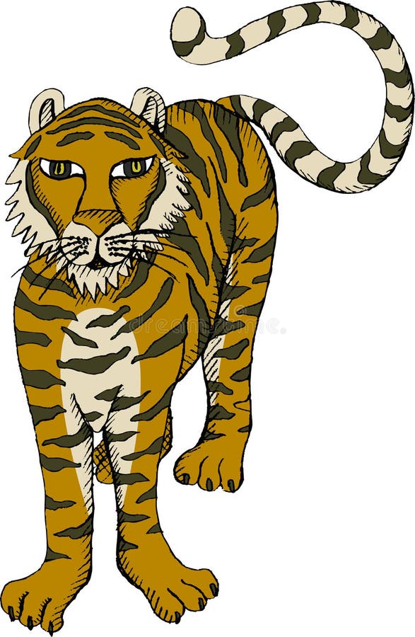 Tigr (Vector) stock vector. Illustration of animal, tiger - 23217053