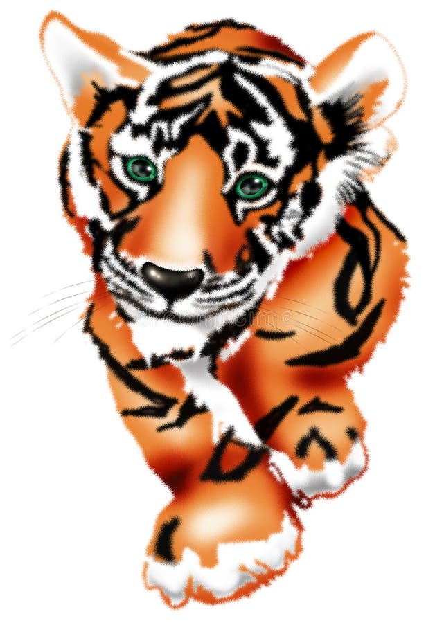 Filhote De Tigre Branco Bonito Ilustração do Vetor - Ilustração de ...