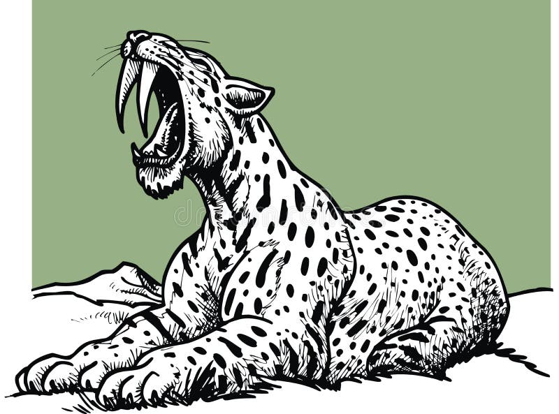 Tigre Dai Denti A Sciabola Da Colorare E Stampare - Vasca Bagno Tigre Dai Denti A Sciabola Da Colorare E Stampare - Vasca Bagno