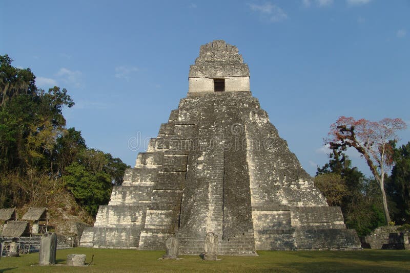 Tikal stock photo. Image of america, latin, pyramid, ancient - 1236378