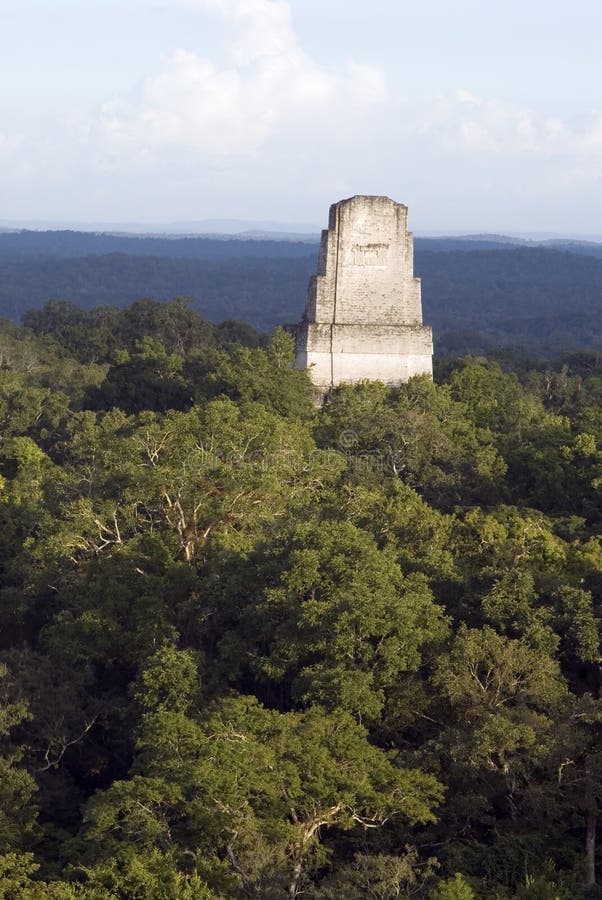 Temple IV tikal stock photo. Image of maya, restore, guatemala - 1713096