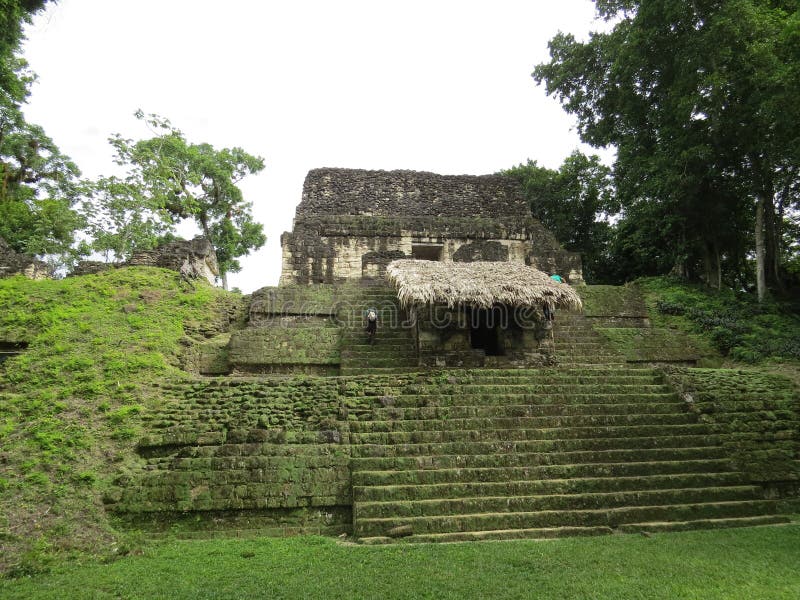 Tikal stock photo. Image of scene, trees, guatemala, landscape - 47322604
