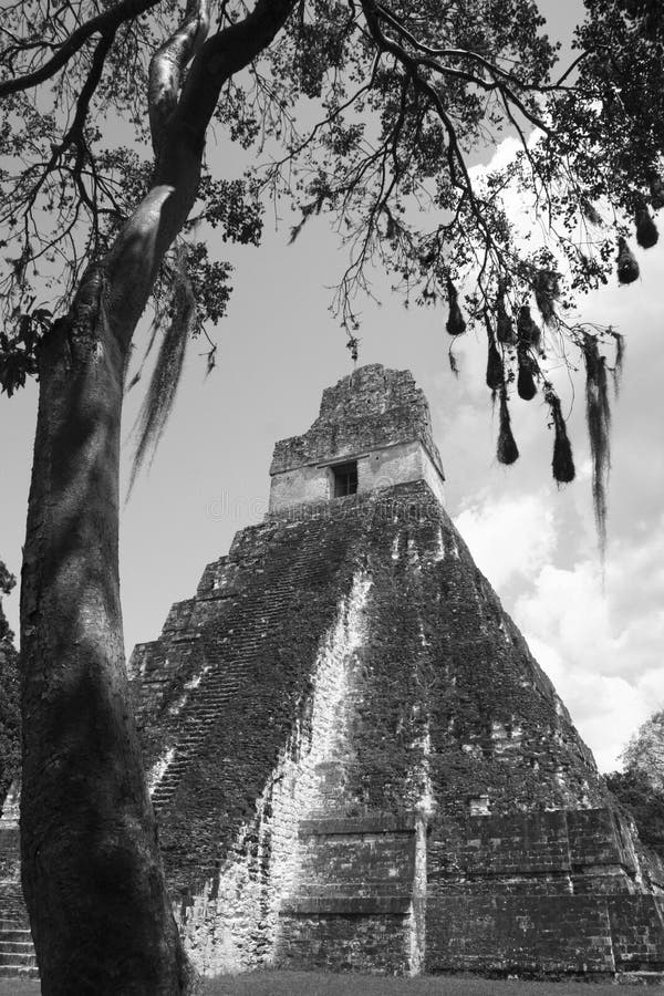 Tikal Temple 4 stock photo. Image of plants, main, america - 5508386