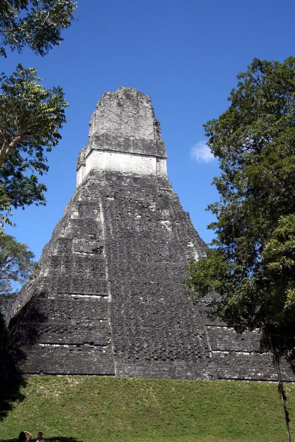 Tikal temple stock photo. Image of tikal, touring, tour - 8947060