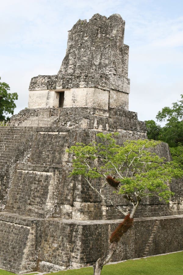 Tikal Temple II stock image. Image of steps, mayan, unearthed - 3364739