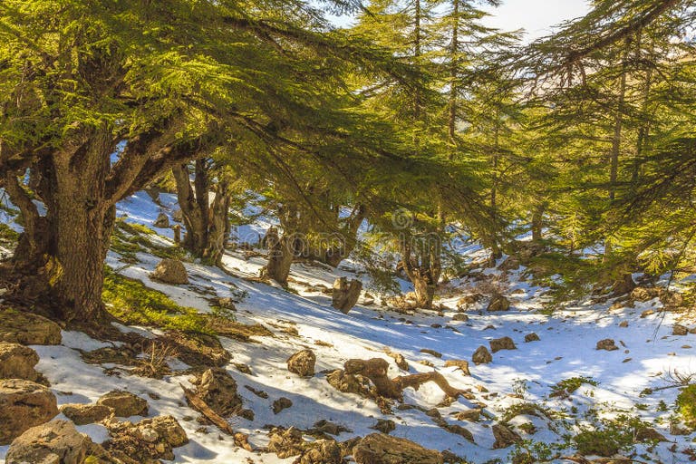 Tikejda stock foto. Image of avontuurlijk, hoogte, arabier - 110384484