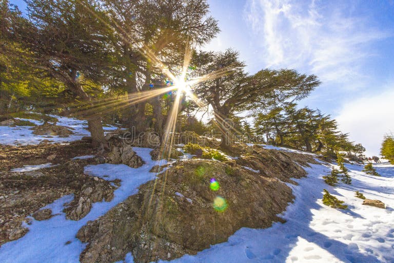 Tikejda stock foto. Image of groen, landschap, wolken - 110385430