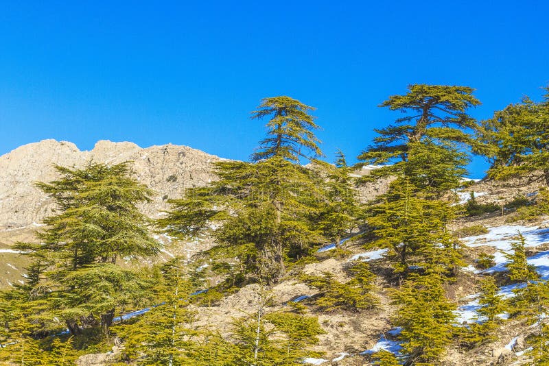 Tikejda stock photo. Image of happiness, cloud, arab - 110382964