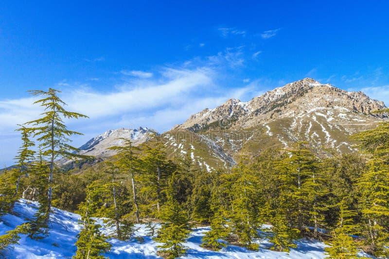 Tikejda stock photo. Image of forest, alpinist, natural - 110383464