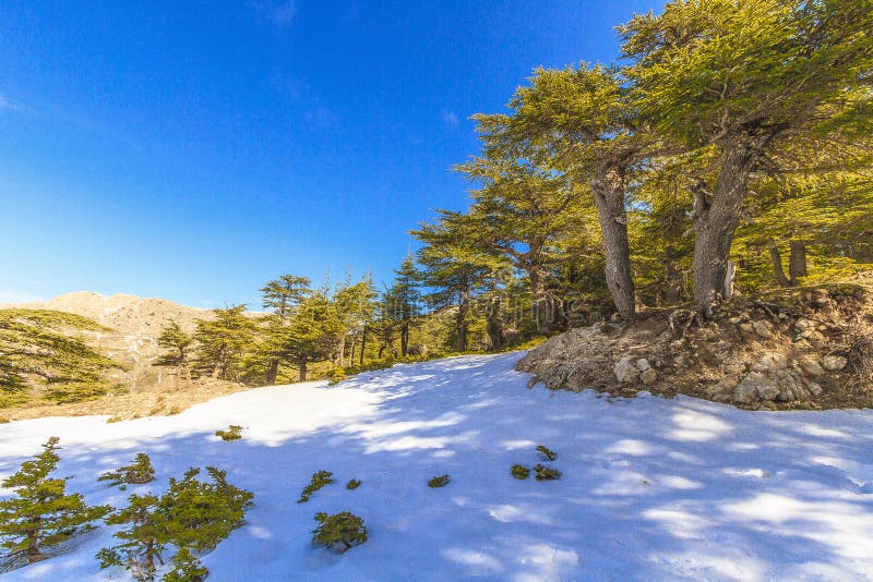 Tikejda editorial photography. Image of holyday, climb - 110385977