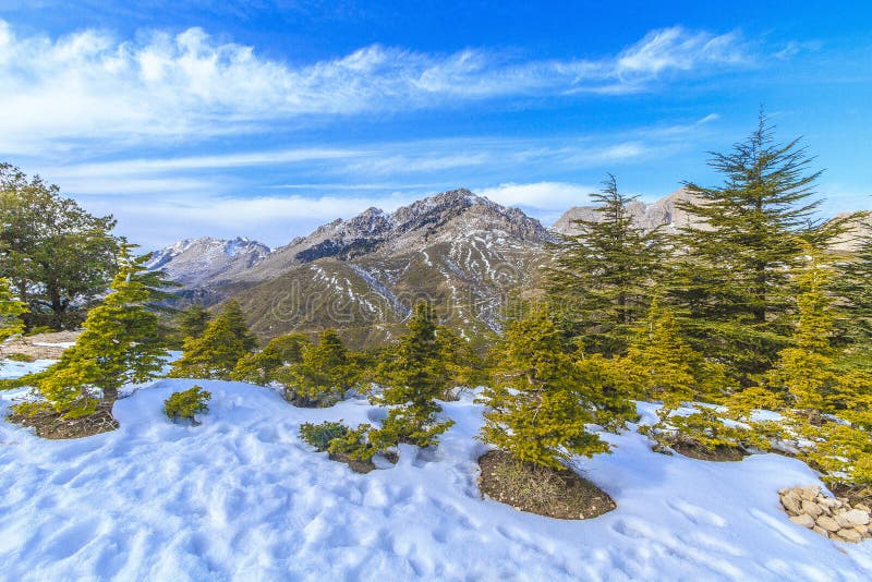 Tikejda stock image. Image of arab, green, cedrus, adventurous - 110387293