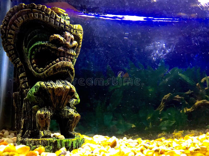 Tiki Tata stock photo. Image of tiki, tank, underwater - 58780404
