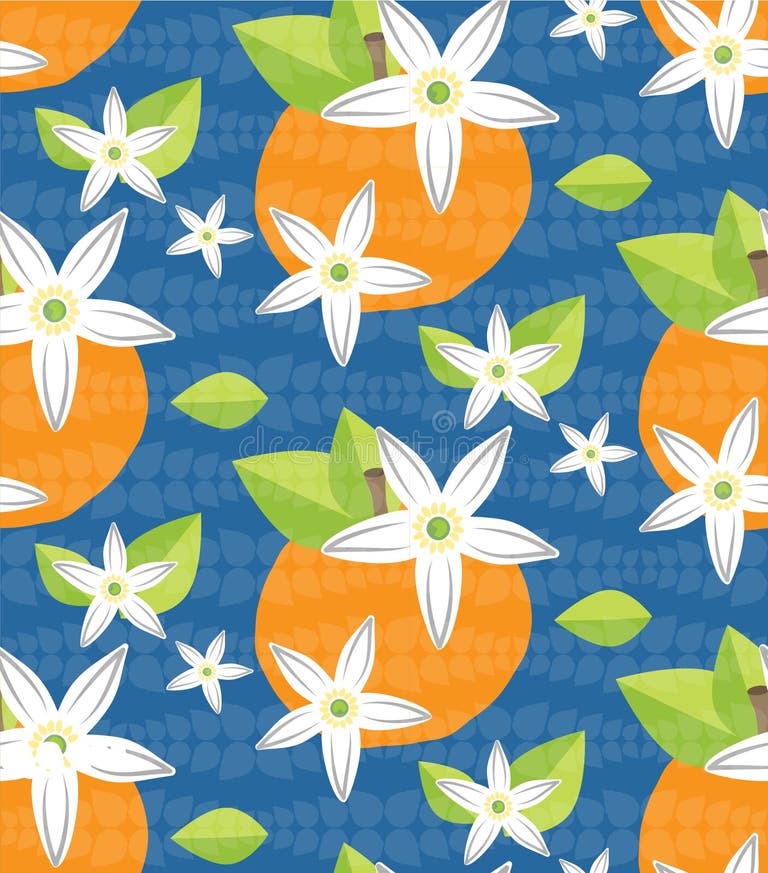 Florida Orange Stock Illustrations – 3,607 Florida Orange Stock ...