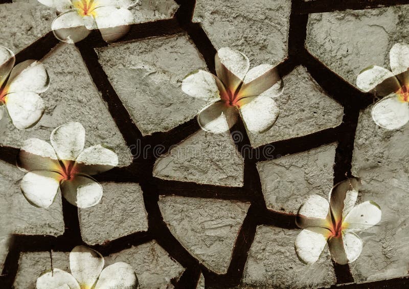 Tilable Wall Texture Floral Pattern Polygon Geometric Background Stock ...