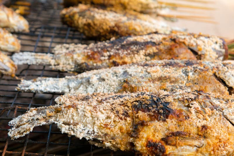 Tilapia baked salt burn stock photo. Image of charcoal - 83135422