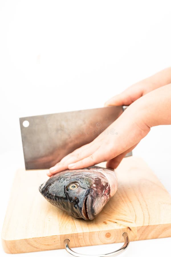Tilapia is a Eviscerated Fish with a Knife Stock Photo - Image of ...