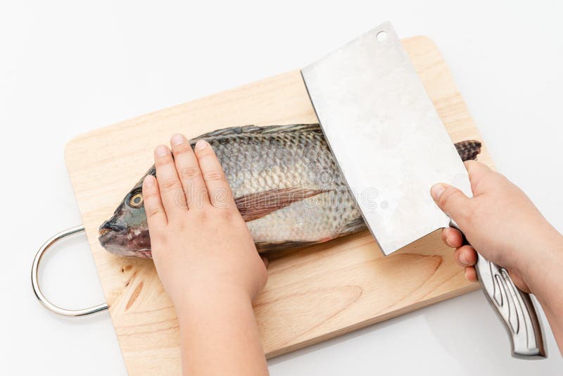Tilapia is a Eviscerated Fish with a Knife Stock Photo - Image of ...