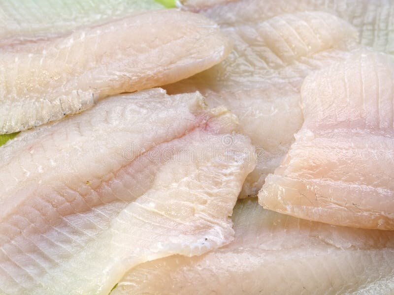 Tilapia fish fillets stock image. Image of food, slice - 37523479