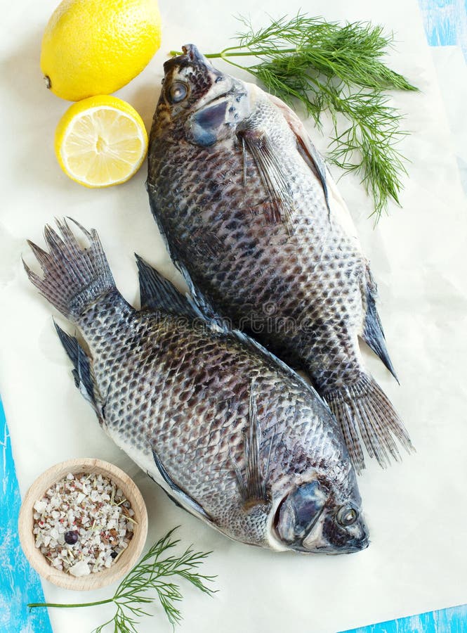 Fresh Tilapia fish stock image. Image of fresh, freshwater - 6434381