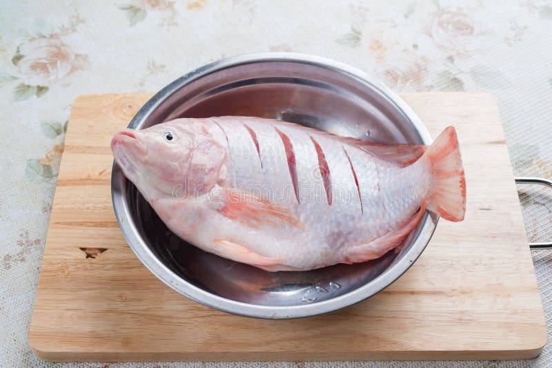 Tilapia nilotica stock photo. Image of barbecue, marine - 42235318