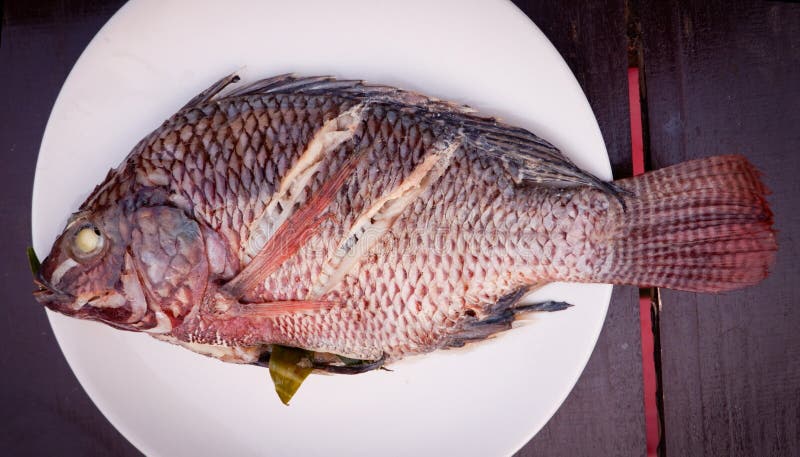 Tilapia steam stock photo. Image of steamed, healthy - 116058538