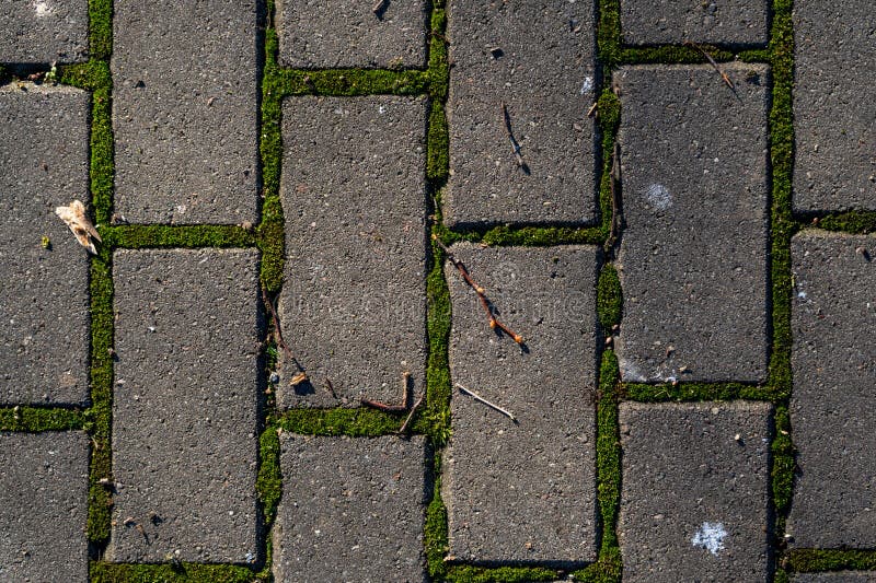 Tile Background, Outdoor Tile with Moss. View from Above Stock Image ...