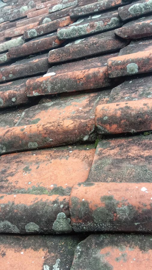 Tile Made of Clay, Which is Old and Mossy Stock Image - Image of mossy ...