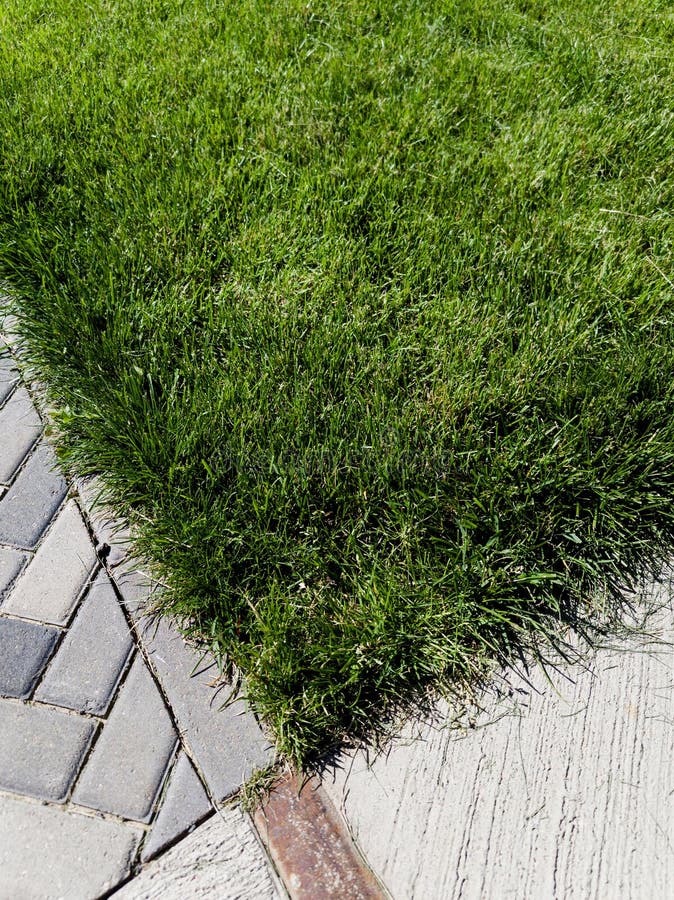 Tile path and green grass stock image. Image of texture - 335433247